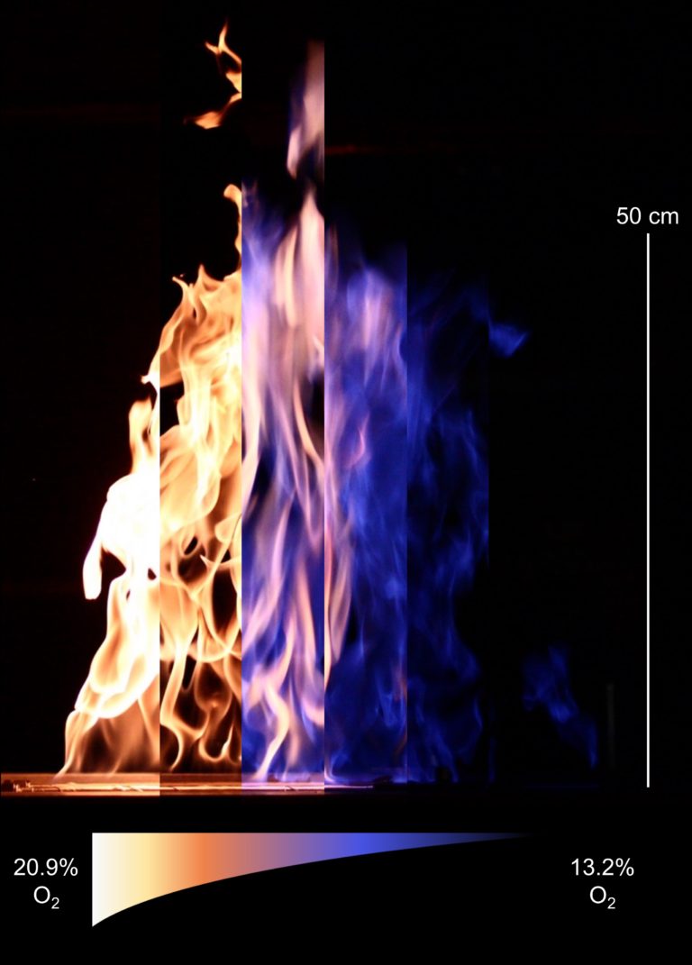 Poster and Fire Science Image Awards - International Association for ...